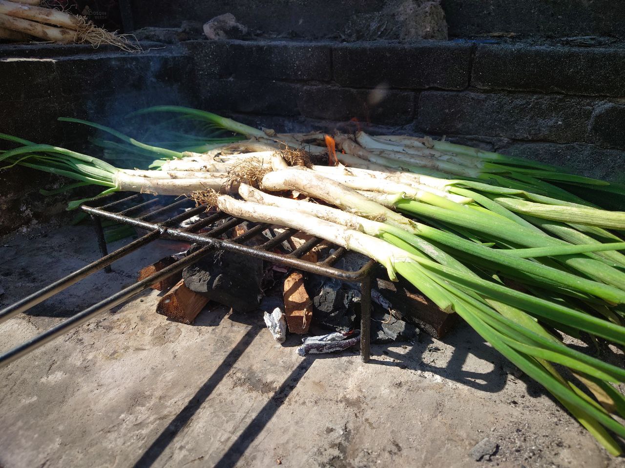 Calçotada farewell for Maria and Salim! — Nonlinear Dynamics, Nonlinear ...